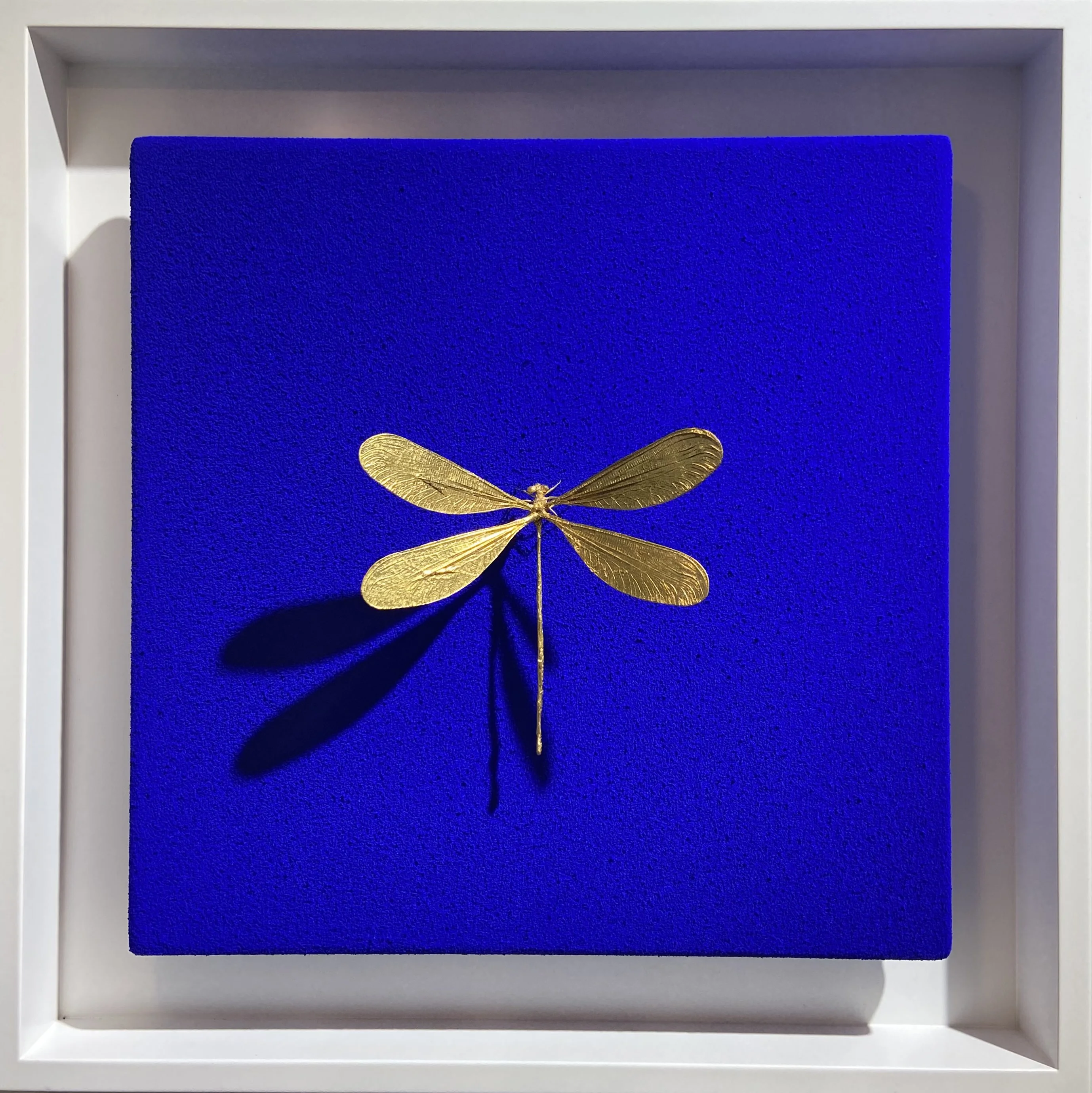 Anatomia Parvus, Atlas Beetle Open, Print Series (Ed. of 50) – Villa del Arte